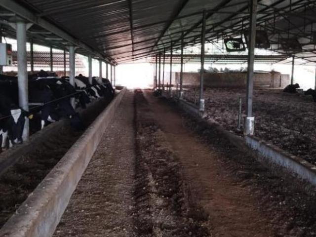 Fazenda / Sítios / Chácaras à venda em Pará De Minas, no bairro Área Rural De Pará De Minas
