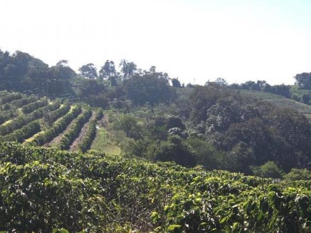 Fazenda / Sítios / Chácaras à venda em Paraguaçu, no bairro Zona Rural