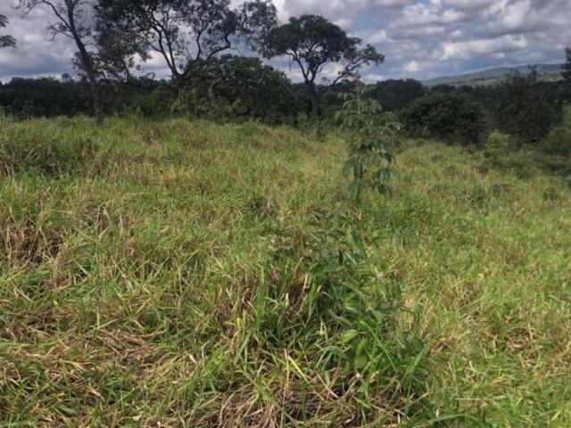 Fazenda / Sítios / Chácaras à venda em Pitangui, no bairro Zona Rural