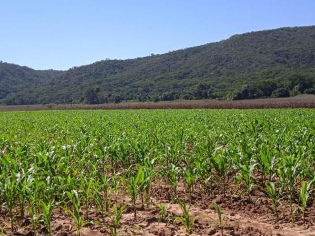 Fazenda / Sítios / Chácaras à venda em Pitangui, no bairro Zona Rural