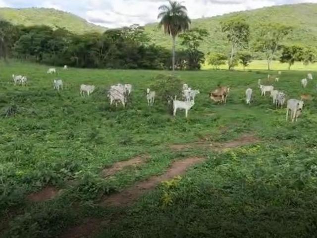 Fazenda / Sítios / Chácaras à venda em Pitangui, no bairro Zona Rural