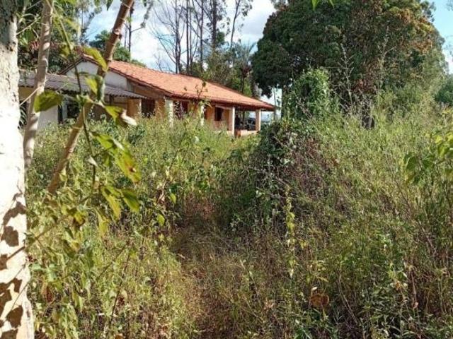 Fazenda / Sítios / Chácaras à venda em Piumhi, no bairro Nova Esperança