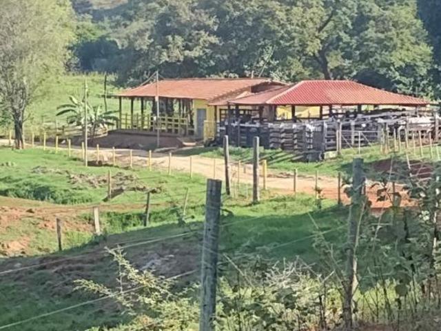 Fazenda / Sítios / Chácaras à venda em Resplendor, no bairro Zona Rural