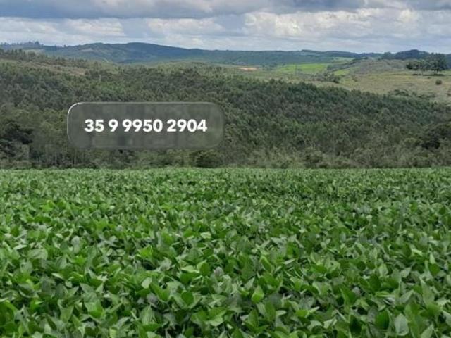Fazenda / Sítios / Chácaras à venda em São Vicente De Minas, no bairro Zona Rural