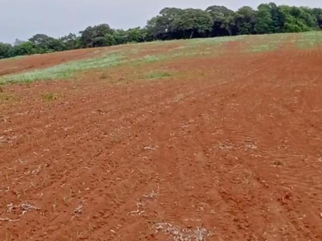 Fazenda / Sítios / Chácaras à venda em São Gonçalo Do Sapucaí, no bairro Zona Rural