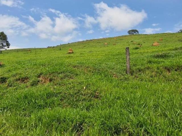 Fazenda / Sítios / Chácaras à venda em São Lourenço, no bairro Zona Rural