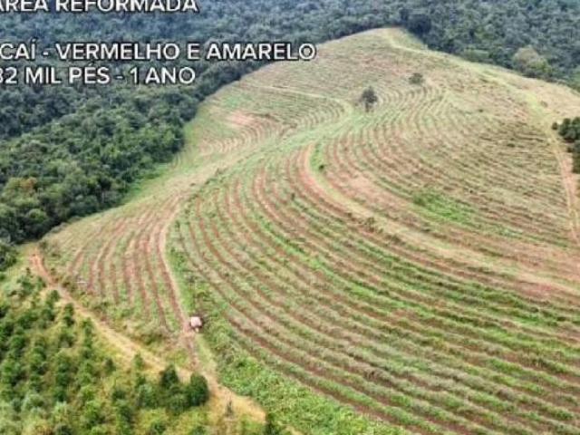 Fazenda / Sítios / Chácaras à venda em São Sebastião Da Bela Vista, no bairro Zona Rural