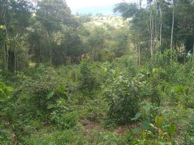 Fazenda / Sítios / Chácaras à venda em Santa Bárbara, no bairro Cubas