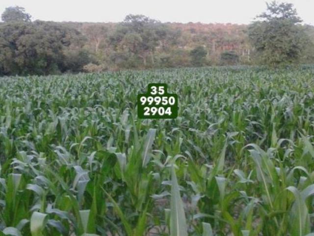 Fazenda / Sítios / Chácaras à venda em Santa Fé De Minas, no bairro Zona Rural