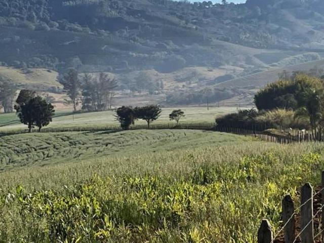 Fazenda / Sítios / Chácaras à venda em Santa Rita Do Sapucaí, no bairro Área Rural De Santa Rita Do