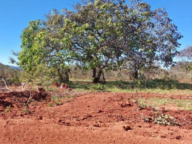 Fazenda / Sítios / Chácaras à venda em Santana De Pirapama, no bairro Vagem Do Onça