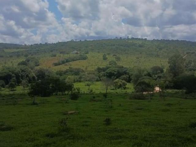 Fazenda / Sítios / Chácaras à venda em Santo Antônio Do Monte, no bairro Zona Rural