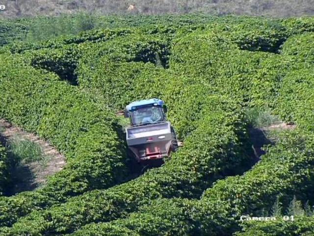 Fazenda / Sítios / Chácaras à venda em Tiros, no bairro Zona Rural
