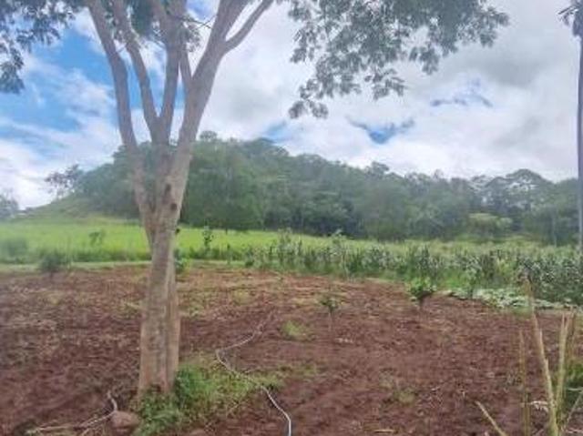 Fazenda / Sítios / Chácaras à venda em Unaí, no bairro Centro