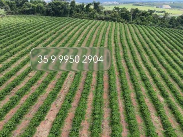 Fazenda / Sítios / Chácaras com 3 quartos à venda em Cordislândia, no bairro Zona Rural