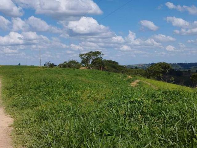 Fazenda / Sítios / Chácaras com 3 quartos à venda em Córrego Danta, no bairro Zona Rural