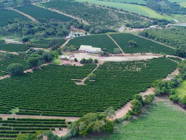 Fazenda / Sítios / Chácaras com 3 quartos à venda em Campanha, no bairro Zona Rural
