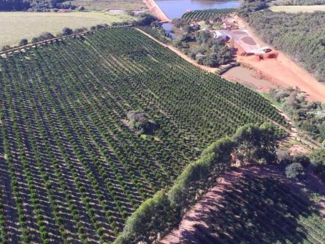 Fazenda / Sítios / Chácaras com 3 quartos à venda em Campanha, no bairro Zona Rural