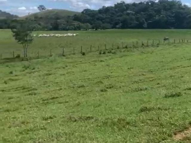 Fazenda / Sítios / Chácaras com 3 quartos à venda em Carmo De Minas, no bairro Zona Rural
