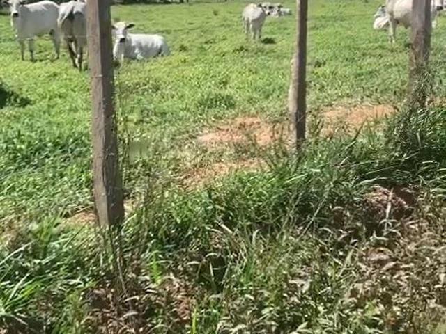 Fazenda / Sítios / Chácaras com 3 quartos à venda em Carmo De Minas, no bairro Zona Rural
