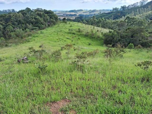 Fazenda / Sítios / Chácaras com 3 quartos à venda em Andradas, no bairro Zona Rural