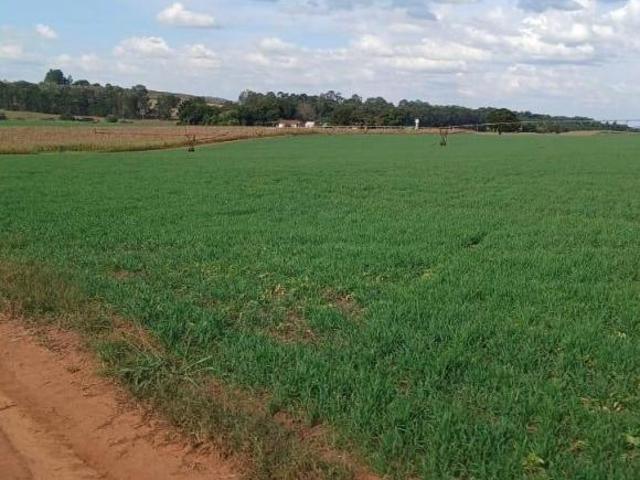 Fazenda / Sítios / Chácaras com 3 quartos à venda em Alterosa, no bairro Zona Rural