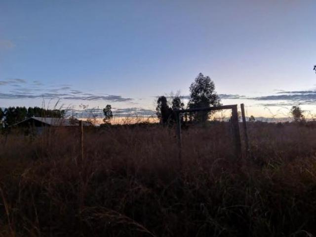 Fazenda / Sítios / Chácaras com 3 quartos à venda em Baldim, no bairro Baldim