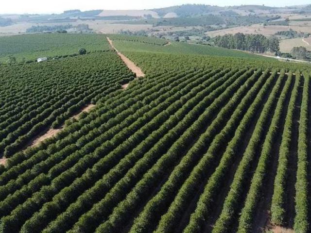 Fazenda / Sítios / Chácaras com 3 quartos à venda em Elói Mendes, no bairro Zona Rural