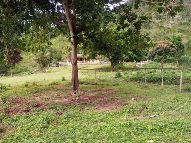 Fazenda / Sítios / Chácaras com 3 quartos à venda em Ferros, no bairro Centro