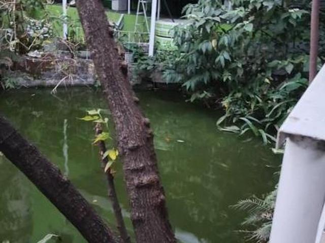 Fazenda / Sítios / Chácaras com 3 quartos à venda em Ibirité, no bairro Palmares