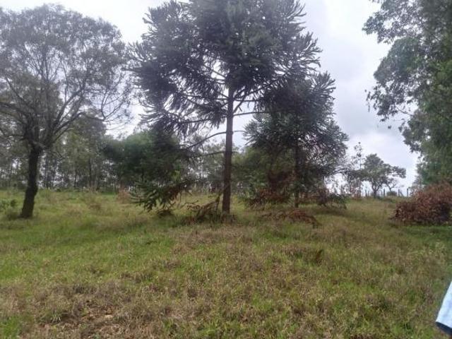 Fazenda / Sítios / Chácaras com 3 quartos à venda em Oliveira, no bairro Zona Rural