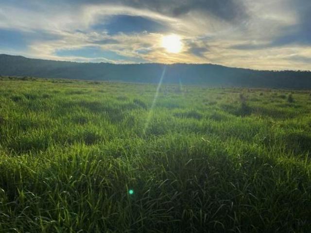 Fazenda / Sítios / Chácaras com 3 quartos à venda em Lassance, no bairro Zona Rural