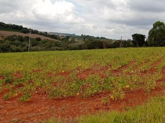 Fazenda / Sítios / Chácaras com 3 quartos à venda em Nepomuceno, no bairro Zona Rural
