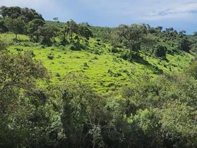 Fazenda / Sítios / Chácaras com 3 quartos à venda em São Gonçalo Do Sapucaí, no bairro Zona Rural