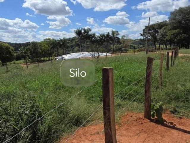 Fazenda / Sítios / Chácaras com 3 quartos à venda em São Gonçalo Do Sapucaí, no bairro Zona Rural