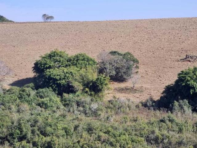 Fazenda / Sítios / Chácaras com 3 quartos à venda em São José Do Alegre, no bairro Zona Rural