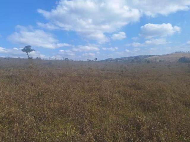 Fazenda / Sítios / Chácaras com 3 quartos à venda em São Tiago, no bairro Área Rural