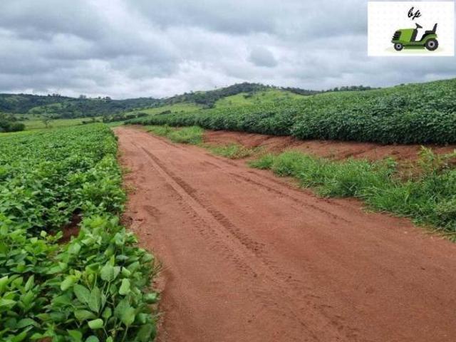 Fazenda / Sítios / Chácaras com 3 quartos à venda em Santana Do Jacaré, no bairro Zona Rural