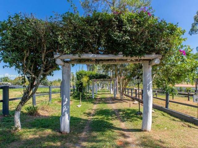 Fazenda / Sítios / Chácaras com 3 quartos à venda em Sarapuí, no bairro Rodeio