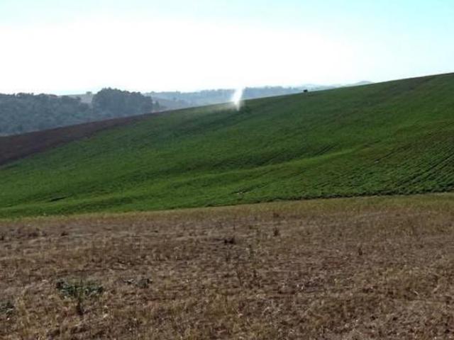 Fazenda / Sítios / Chácaras com 3 quartos à venda em Pouso Alegre, no bairro Área Rural De Pouso Ale