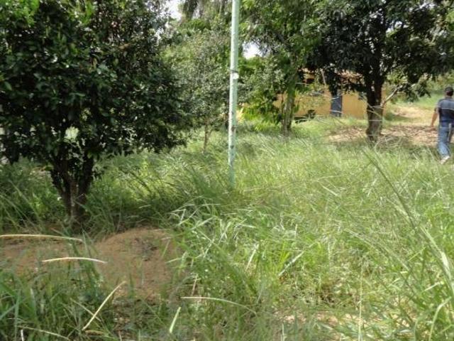 Fazenda / Sítios / Chácaras com 3 quartos à venda em Paraopeba, no bairro Zona Rural