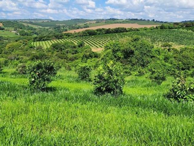 Fazenda / Sítios / Chácaras com 3 quartos à venda em Três Corações, no bairro Zona Rural