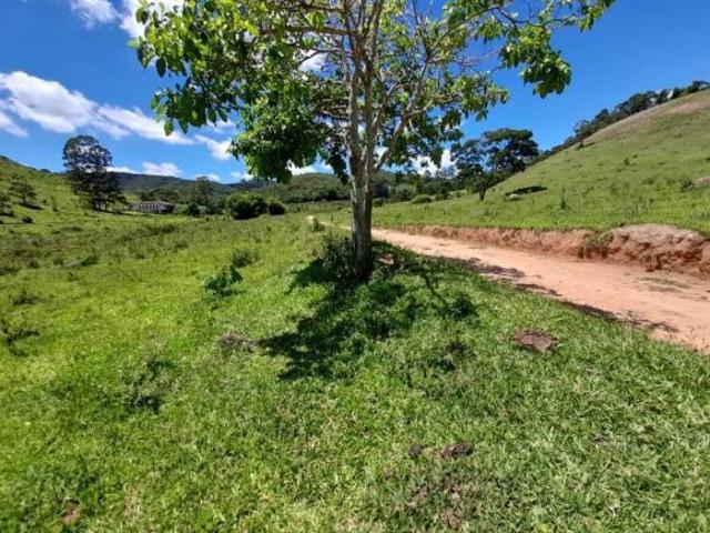 Fazenda / Sítios / Chácaras com 11 quartos à venda em Lamim, no bairro Área Rural