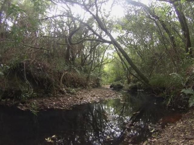 Fazenda / Sítios / Chácaras com 1 quarto à venda em Carandaí, no bairro Centro