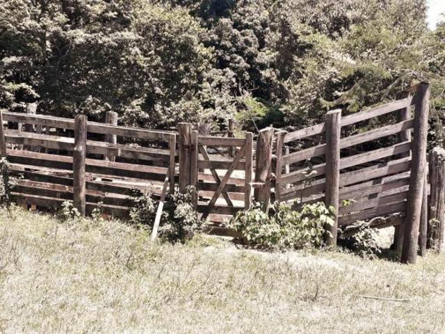 Fazenda / Sítios / Chácaras com 1 quarto à venda em Carmo Da Mata, no bairro Centro