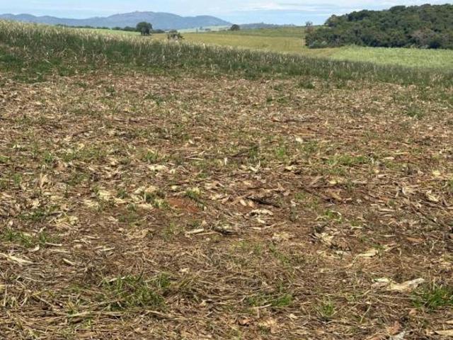 Fazenda / Sítios / Chácaras com 1 quarto à venda em Divisa Nova, no bairro Zona Rural
