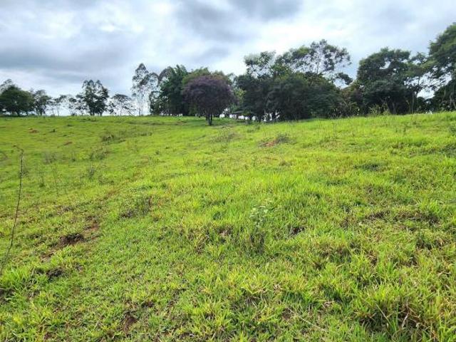Fazenda / Sítios / Chácaras com 1 quarto à venda em Elói Mendes, no bairro Zona Rural