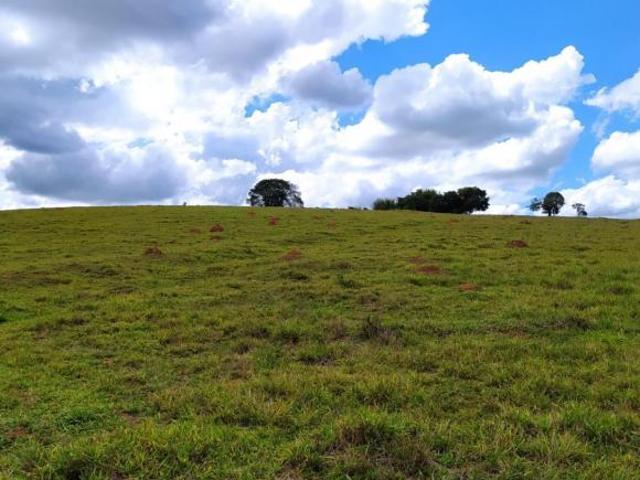 Fazenda / Sítios / Chácaras com 1 quarto à venda em São Gonçalo Do Sapucaí, no bairro Centro