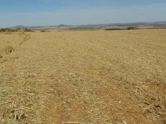Fazenda / Sítios / Chácaras com 1 quarto à venda em São João Da Boa Vista, no bairro Zona Rural