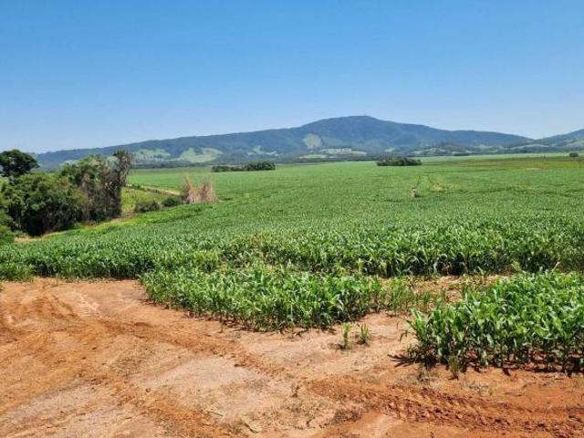Fazenda / Sítios / Chácaras com 1 quarto à venda em São Sebastião Da Bela Vista, no bairro Zona Rura